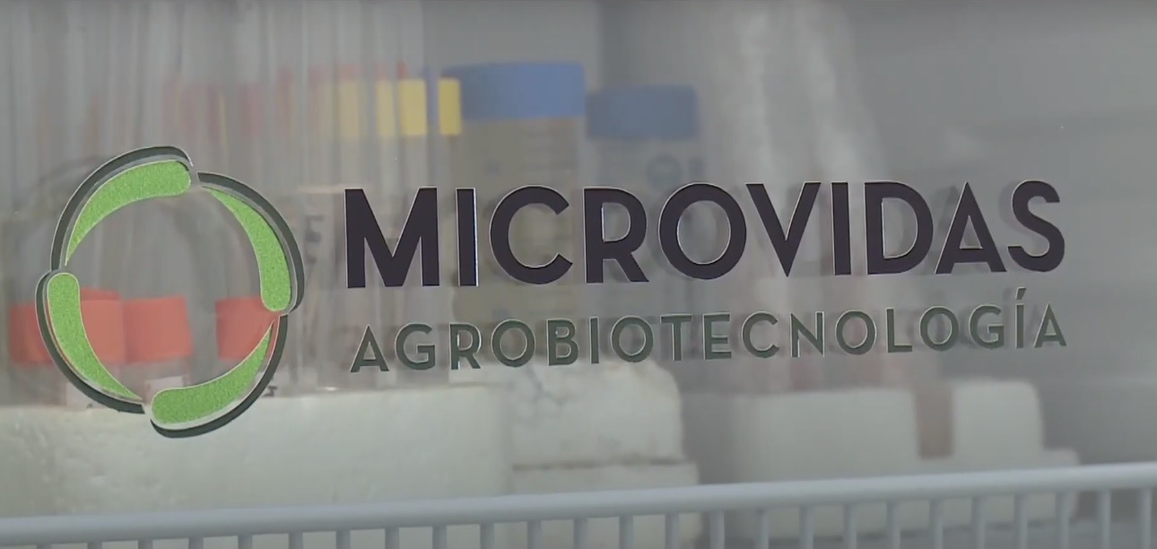 MICROVIDAS, AGROBIOTECNOLOGÍA DE VANGUARDIA EN SANTA FE – Martín Bustamante Producciones